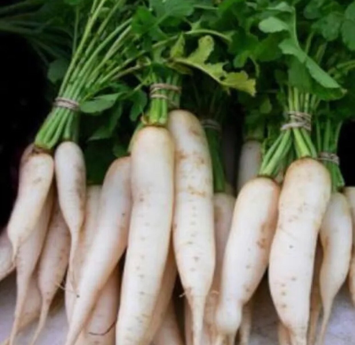 Labanos 30 Seeds from the Philippine Bureau of Plant Industry | Etsy