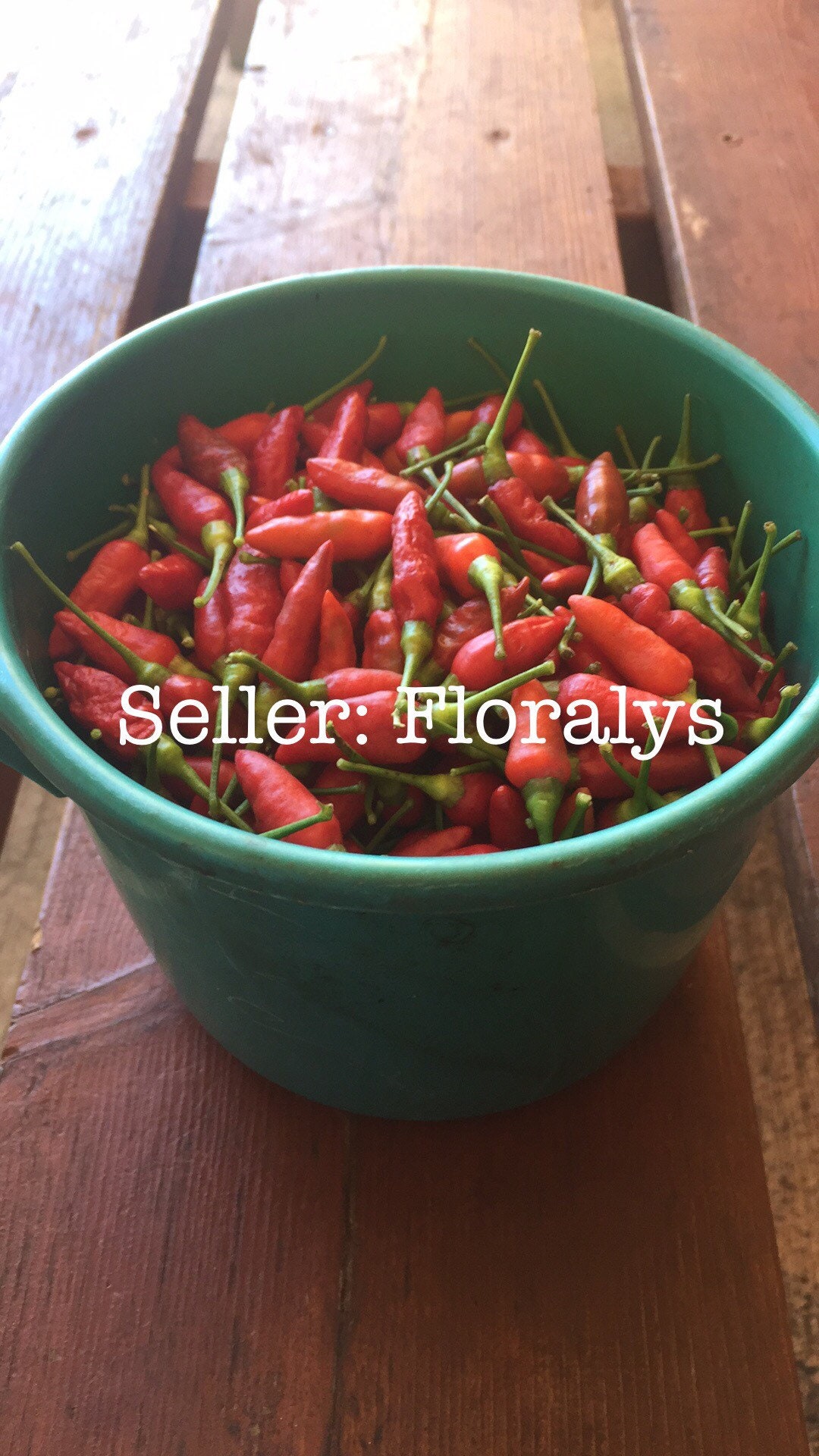 4lbs Mango Pickled With Real Guam Boonie Peppers Hot and Spicy - Etsy