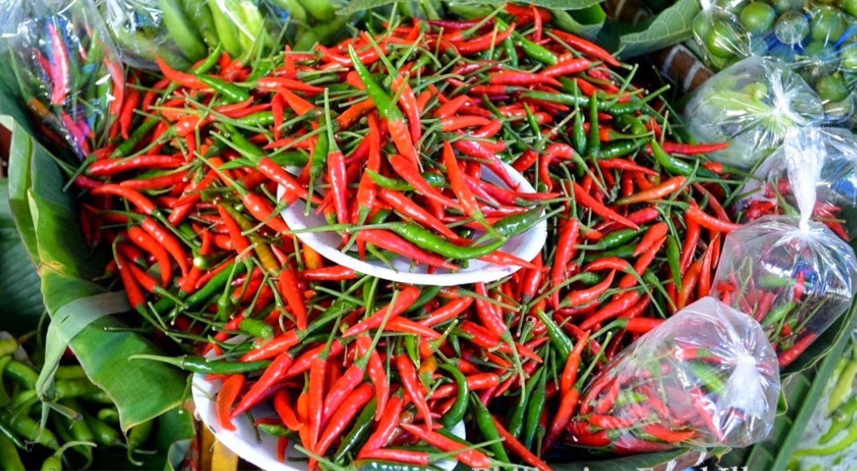 Philippine Siling Labuyo Department of Agriculture Hot Sili - Etsy ...