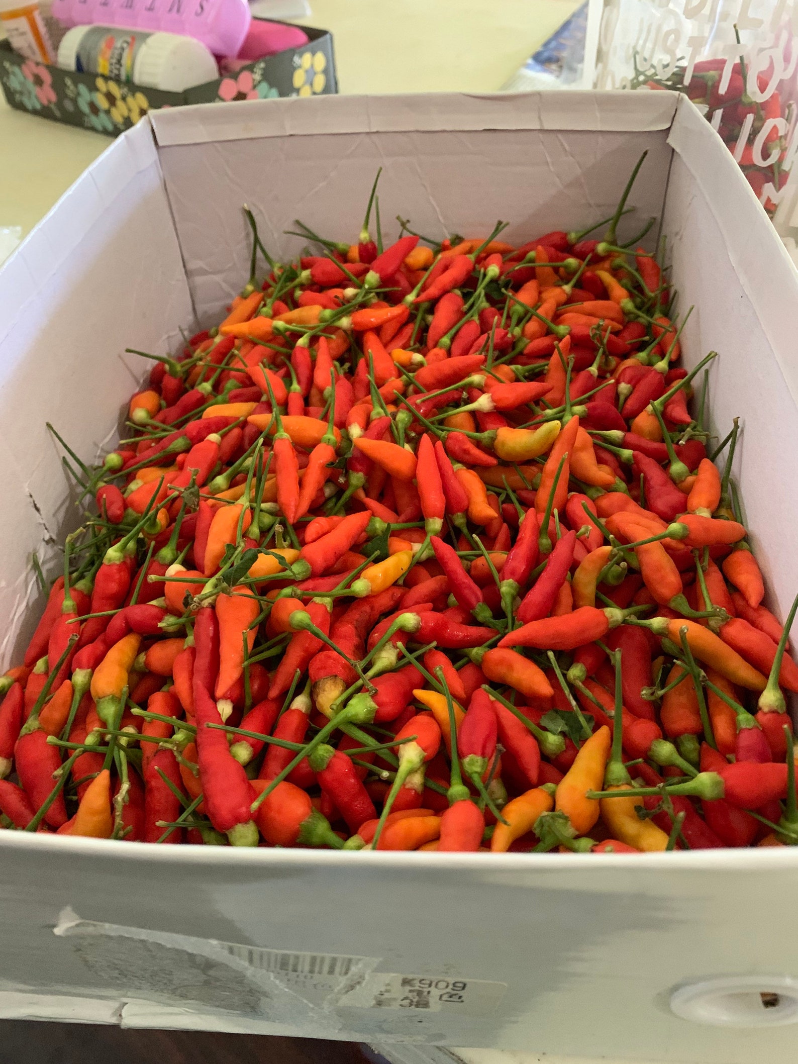 GUAM Mango and Hot Boonie Pepper Denanche Hot Pepper Paste 5 - Etsy