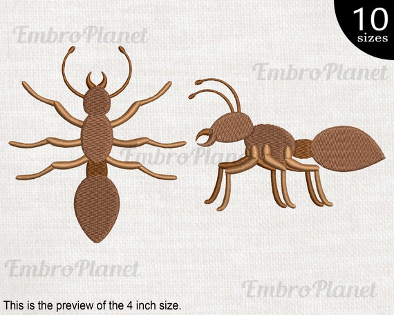 Ants Designs for Embroidery Machine Instant Download Digital | Etsy