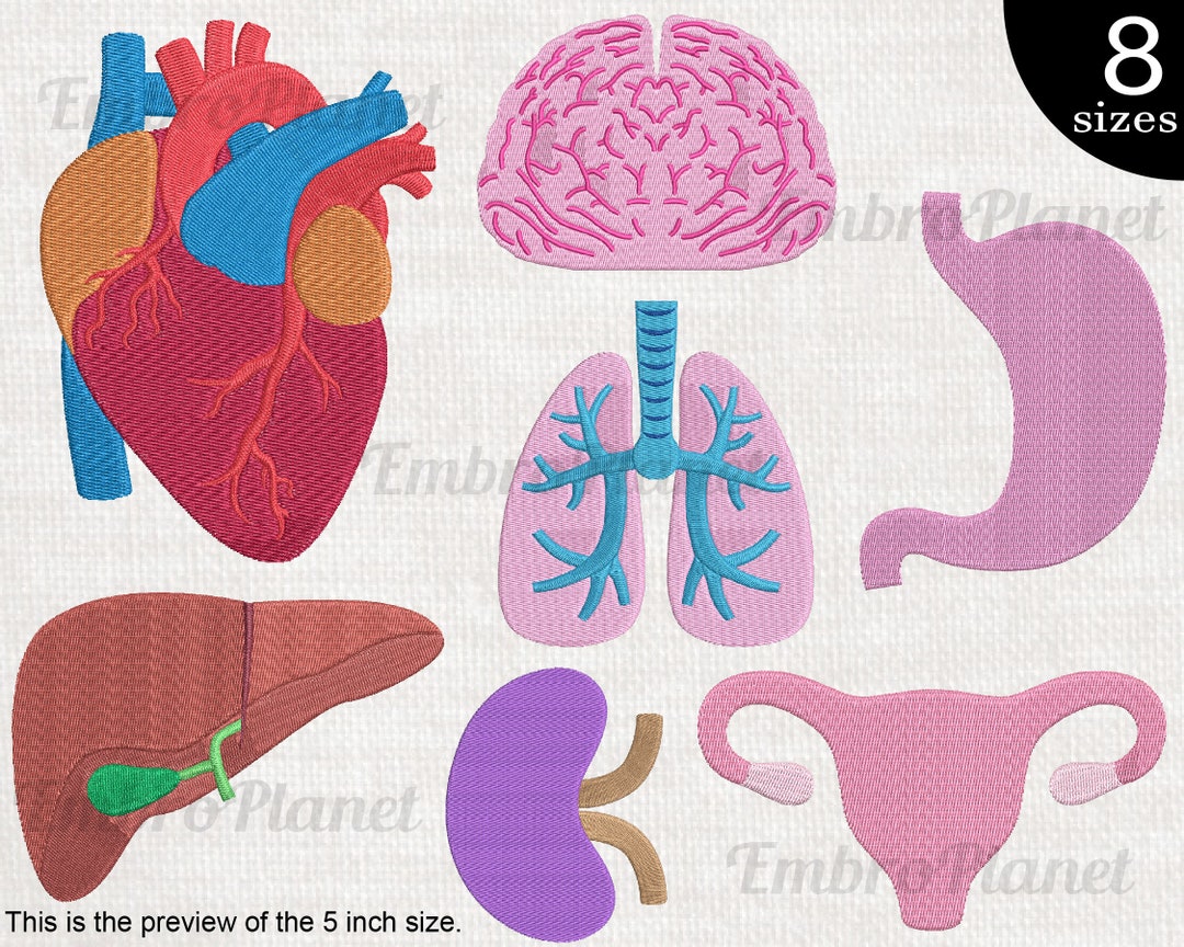 Organs - Designs for Embroidery Machine Instant Download Digital File ...