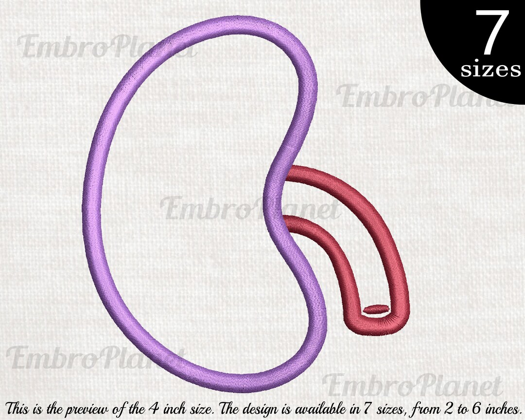Kidney - Design for Embroidery Machine Instant Download Digital File ...
