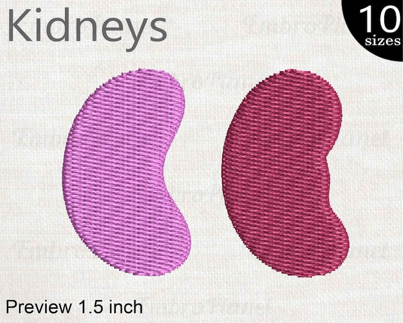 Kidneys - Designs for Embroidery Machine Instant Download Digital ...