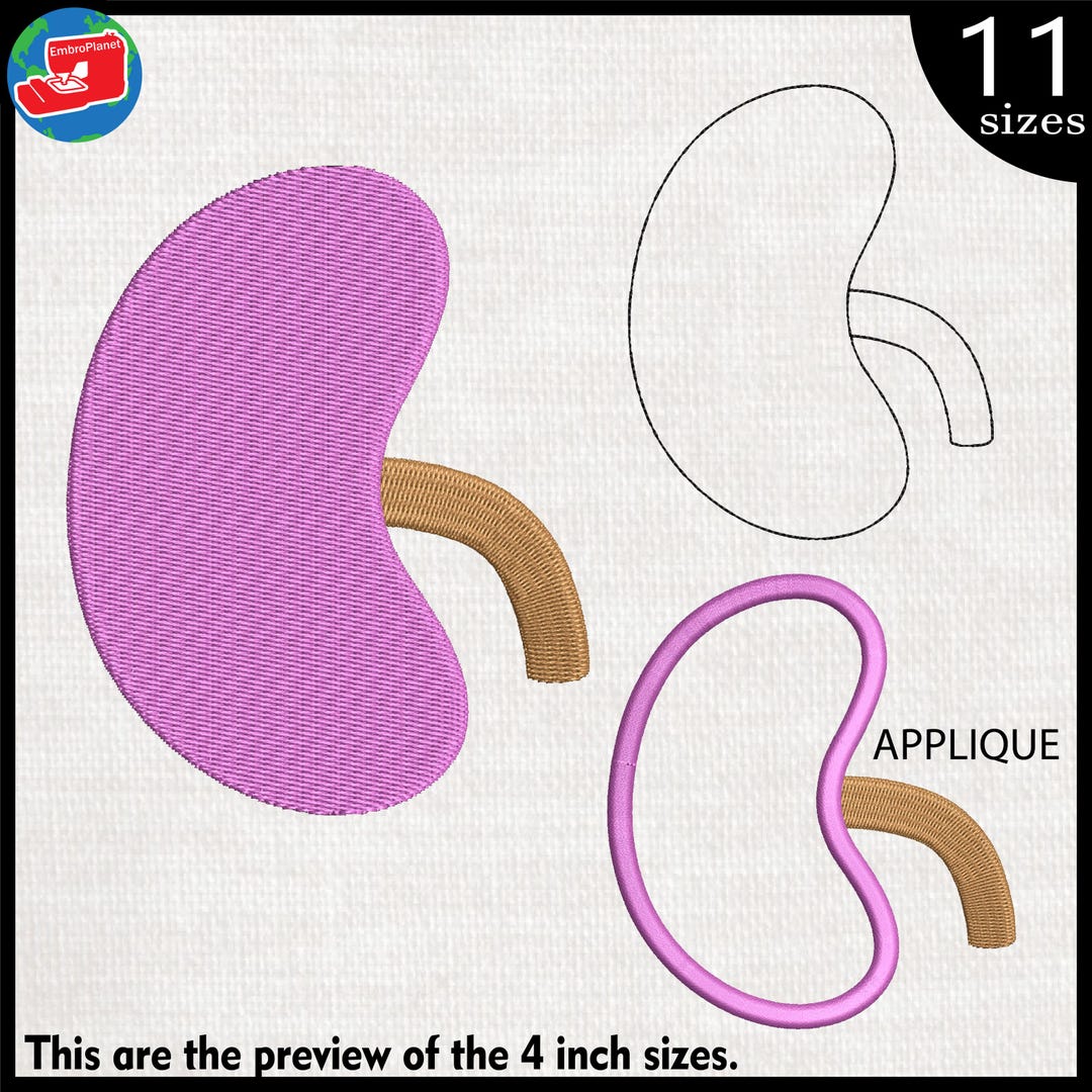 Kidney Embroidery Design – Human Anatomy Applique (digital Download) - Etsy
