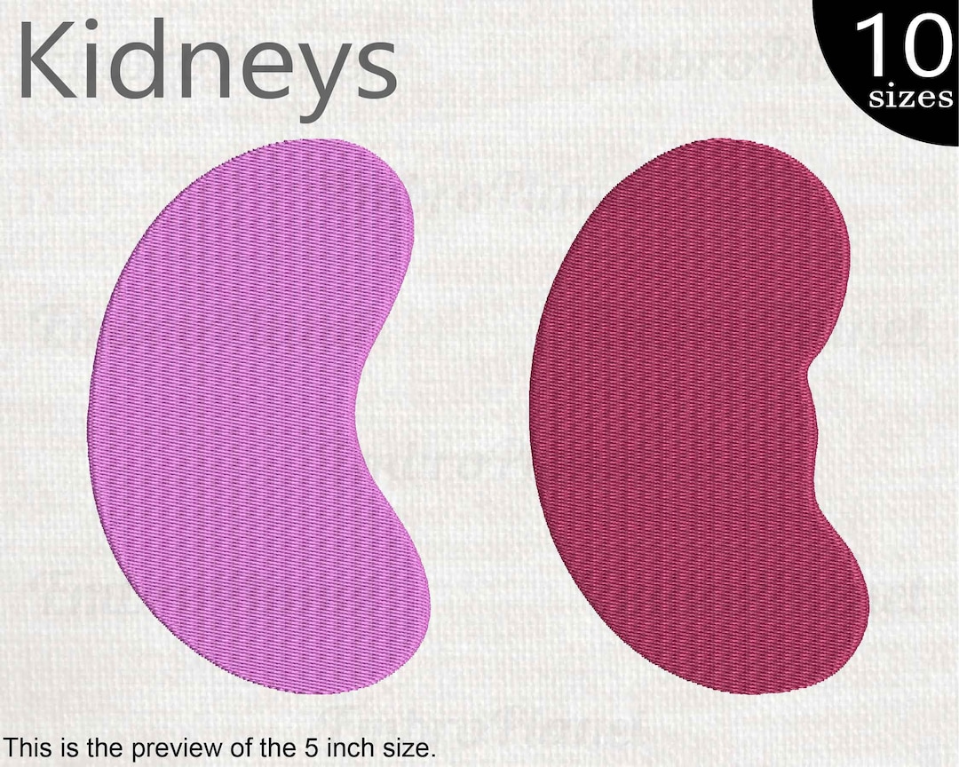 Kidneys - Designs for Embroidery Machine Instant Download Digital ...