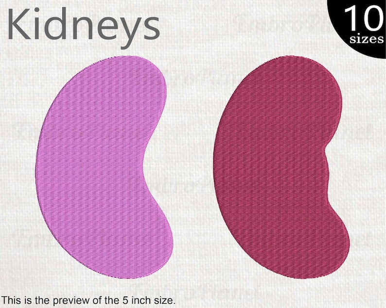 Kidneys - Designs for Embroidery Machine Instant Download Digital ...