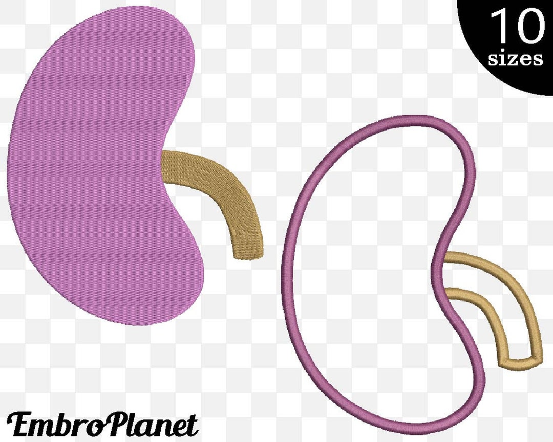 Kidney - Designs for Embroidery Machine Instant Download Digital File ...