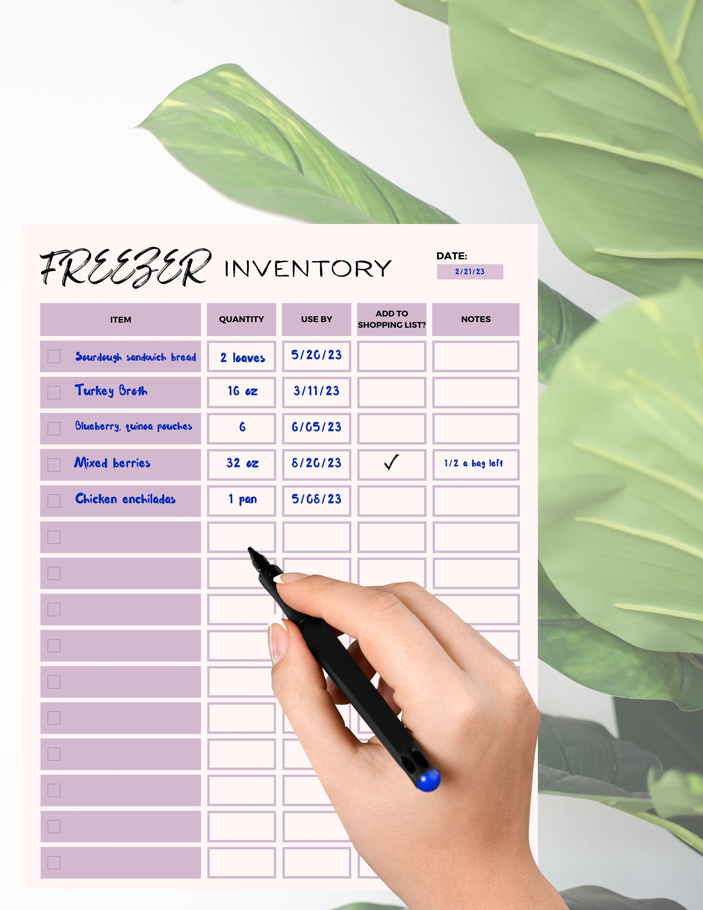 Printable Kitchen Inventory Planner, Freezer Inventory, Pantry ...