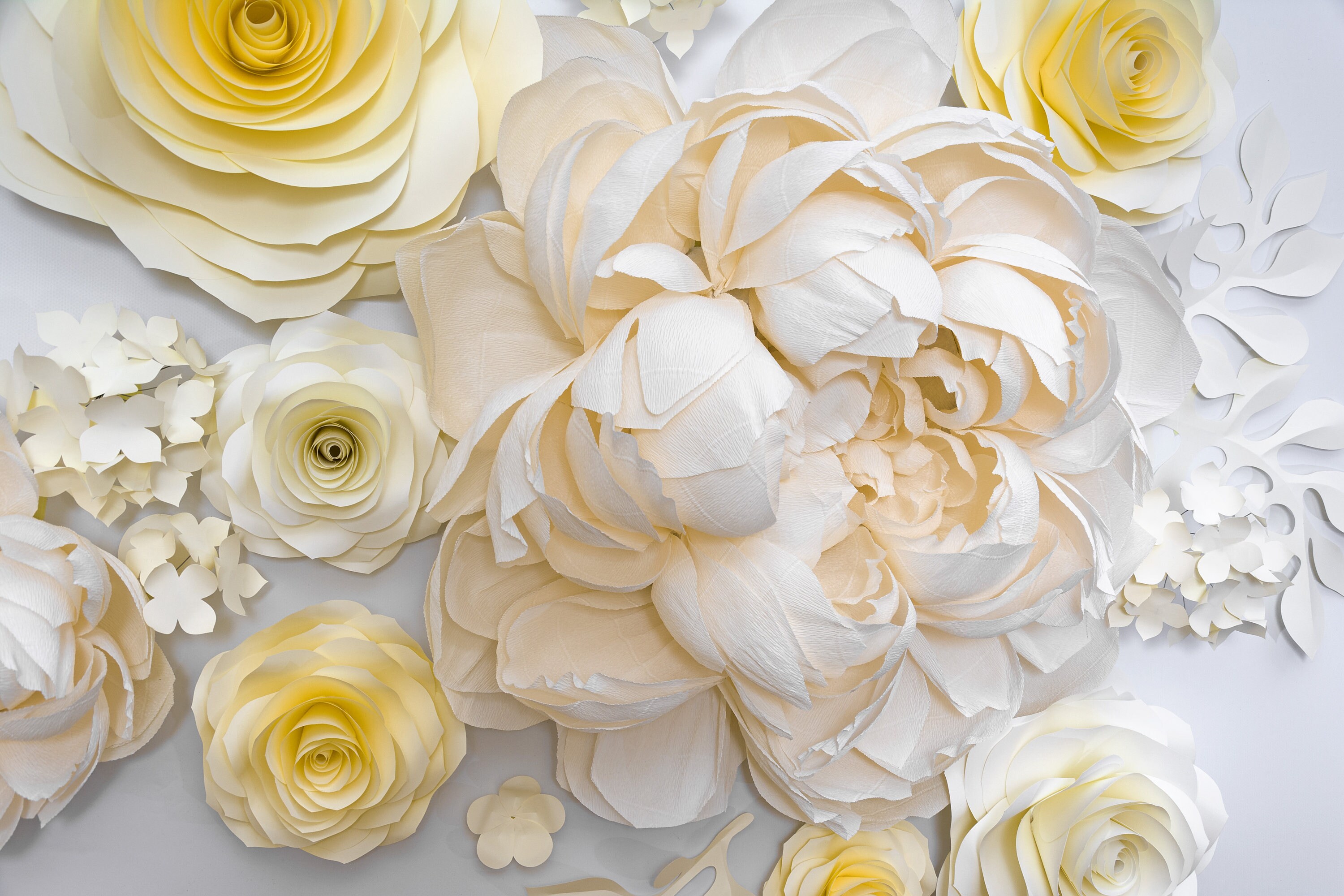 Crepe Paper Flower Wedding Backdrop, Ivory Peonies & Roses - Etsy