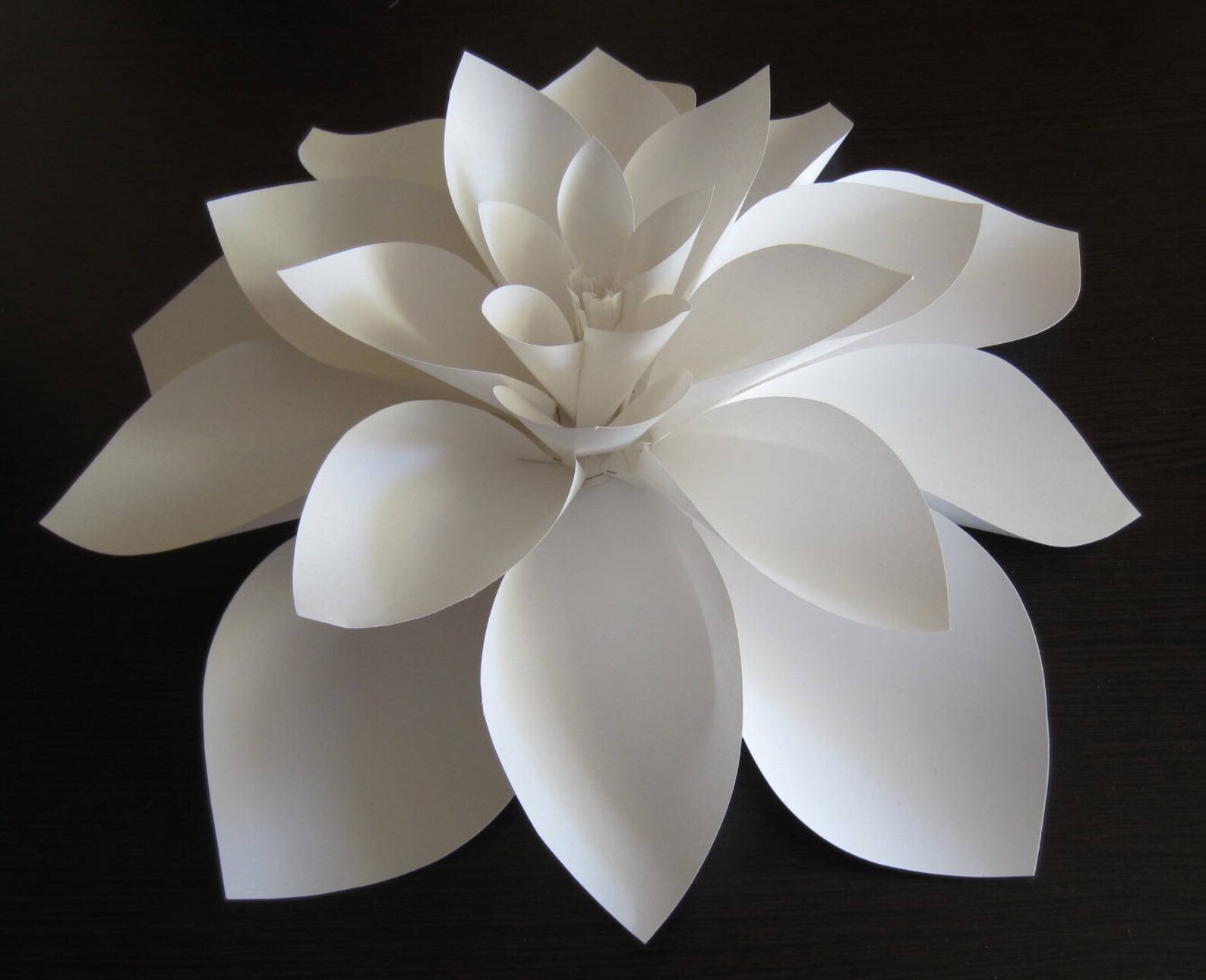 Extra Large Paper Flowers Backdrop Wedding Backdrop Paper | Etsy