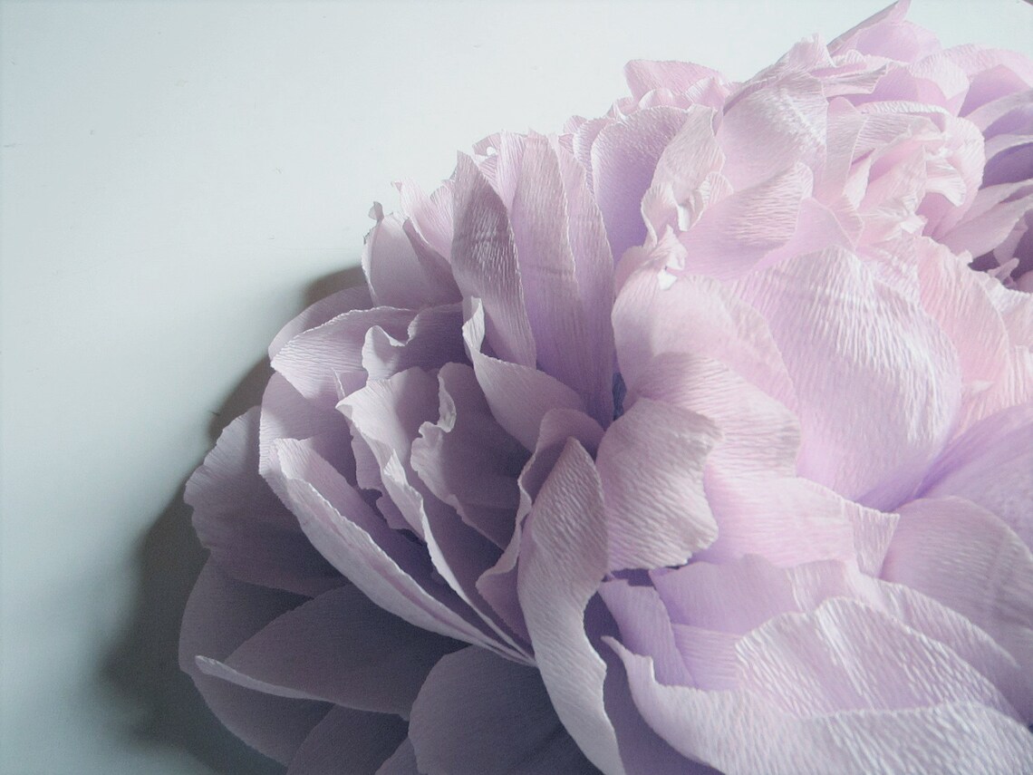 Crepe Paper Flower Giant Crepe Paper Peony Large Paper | Etsy