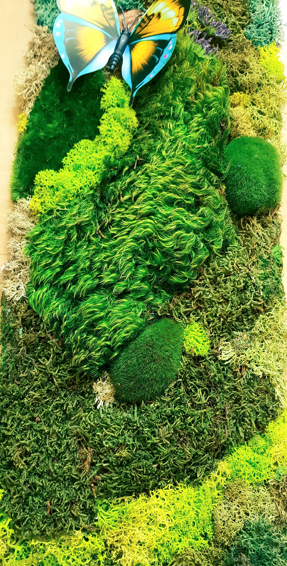 Moos Wand Kunst erhalten Moos Kunst Moos Wand Kunst von | Etsy