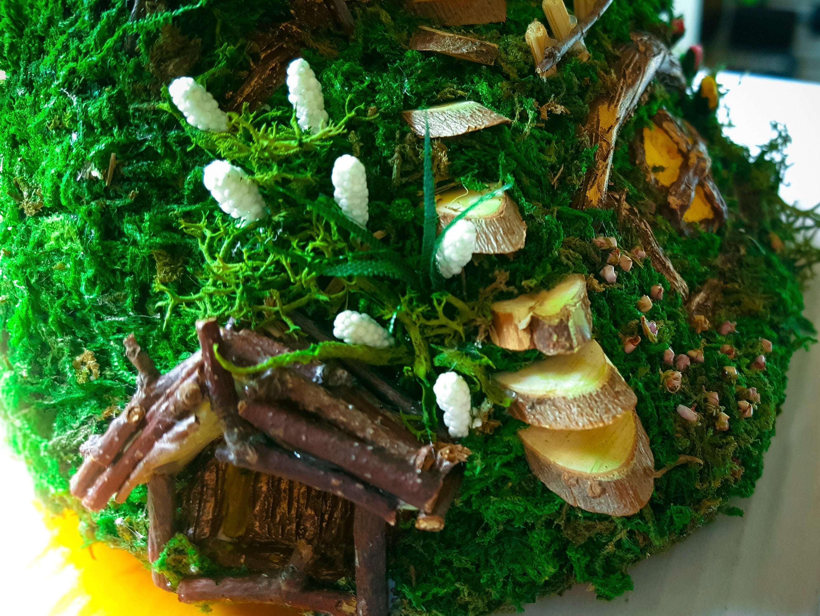 Hobbit Terrarium Lord of the Rings Hobbit Gift Moss - Etsy