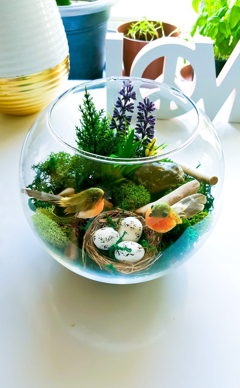 Easter Terrarium Birds Easter Eggs Terrarium Kit - Etsy UK