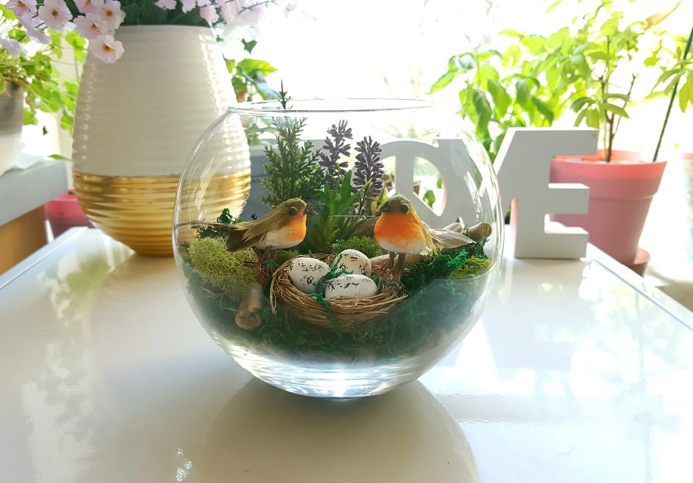 Easter Terrarium Birds Easter Eggs Terrarium Kit - Etsy UK