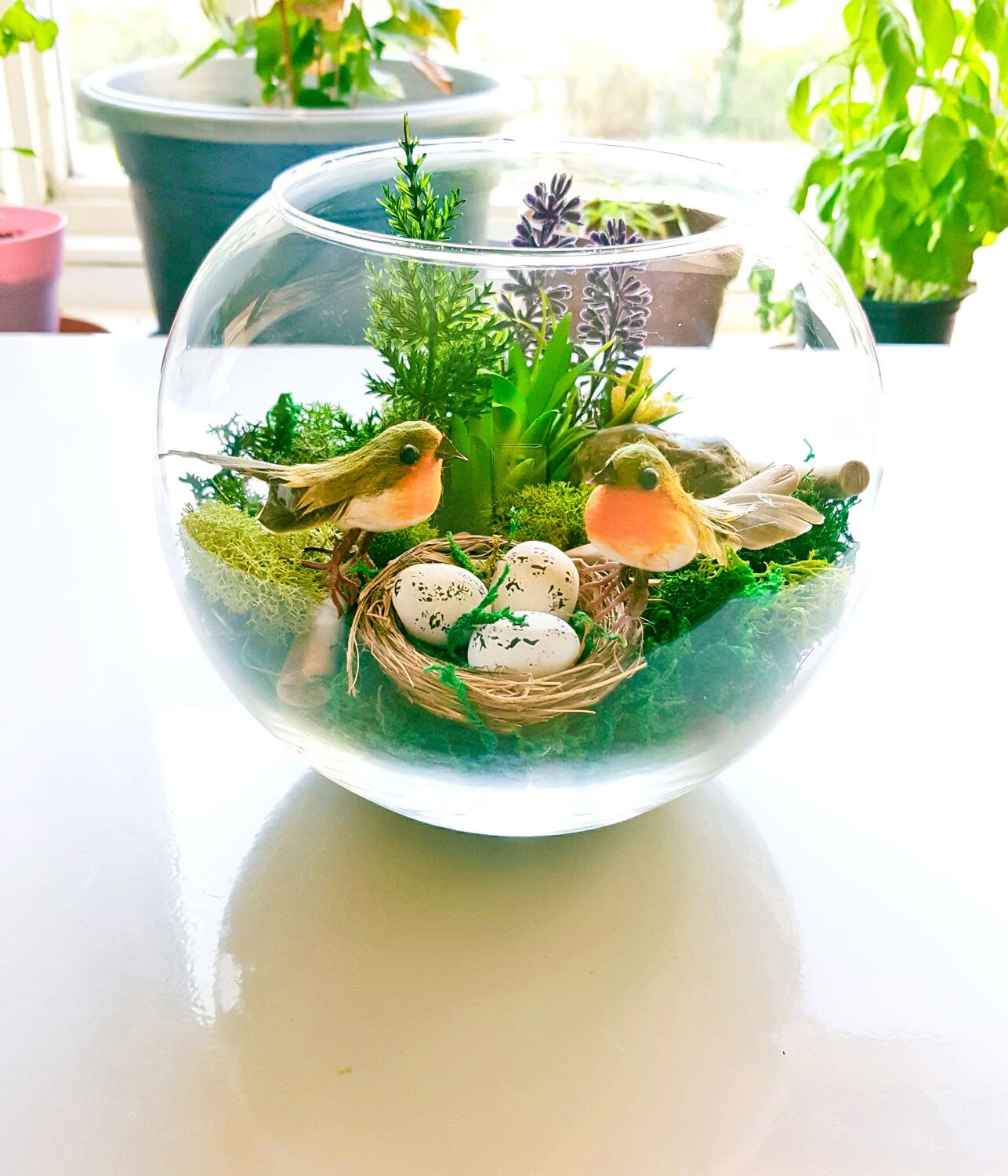 Easter Terrarium Birds Easter Eggs Terrarium Kit - Etsy UK