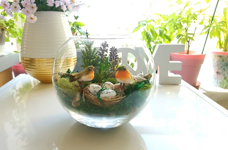 Easter Terrarium Birds Easter Eggs Terrarium Kit - Etsy UK