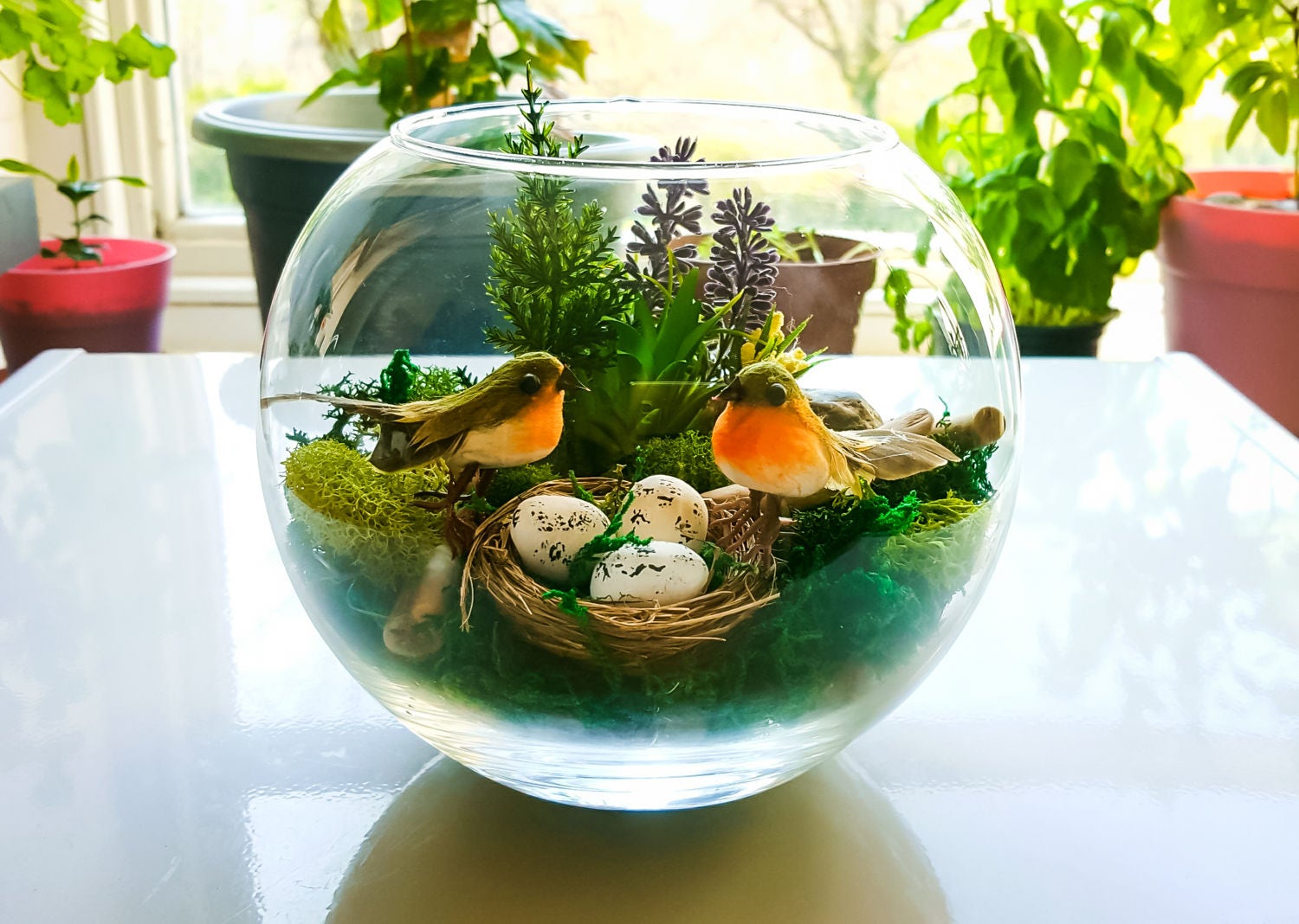 Easter Terrarium Birds Easter Eggs Terrarium Kit | Etsy UK