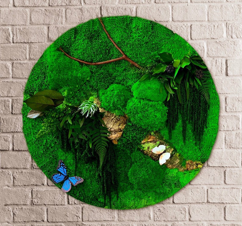 Buy Circular Preserved Moss Wall Art: Interior Green Wall Decor (60/40 ...