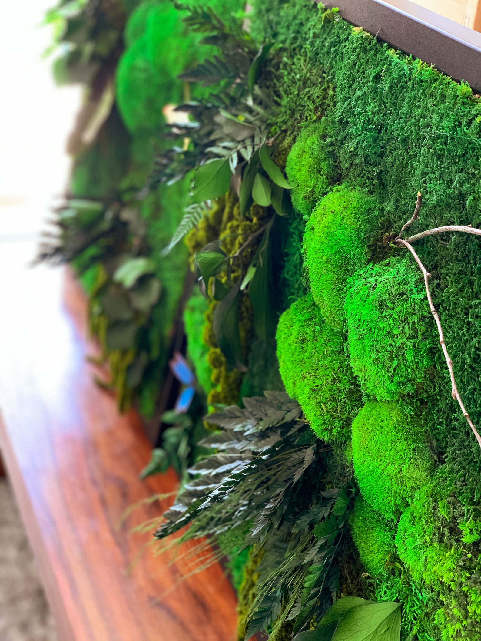 Moss Wall Art Preserved Moss Art Moss Wall Art Set of Two - Etsy