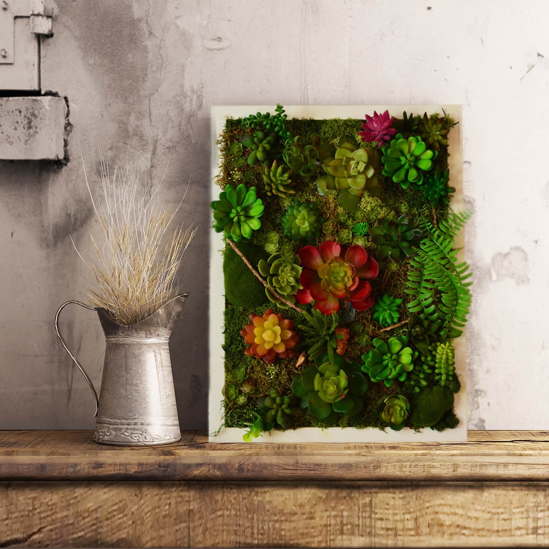 Organic Moss Wall Art With Succulents, Preserved Green Moss & Wood in ...