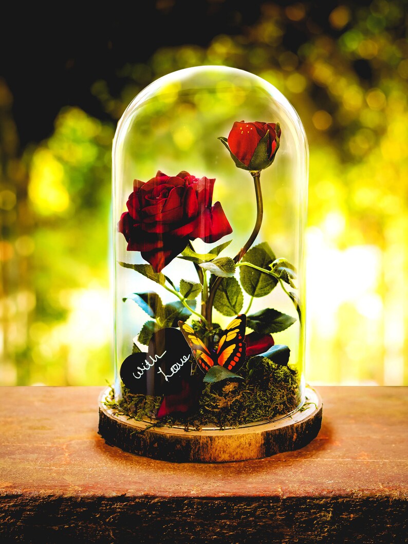 Everlasting Rose Red Rose Enchanted Rose in Glass Dome - Etsy