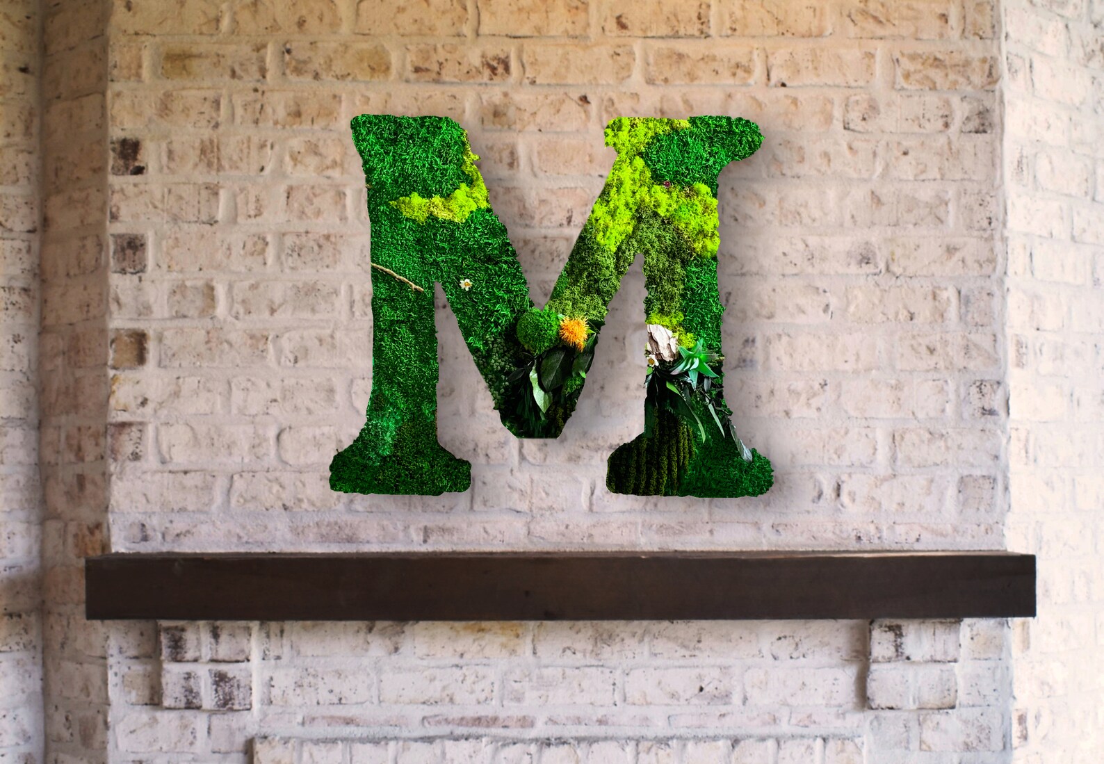 Moss Letters Custom Wall Letters Custom logo Preserved moss | Etsy
