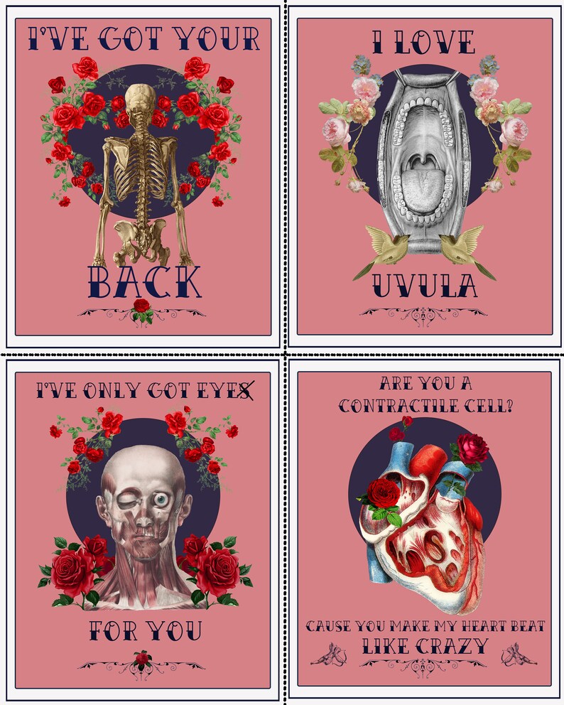 Bundle of Printable Anatomical Pun Valentines Day Cards, Medical ...