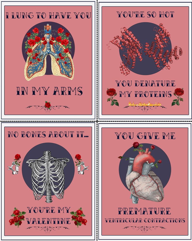 Bundle of Printable Anatomical Pun Valentines Day Cards, Medical ...
