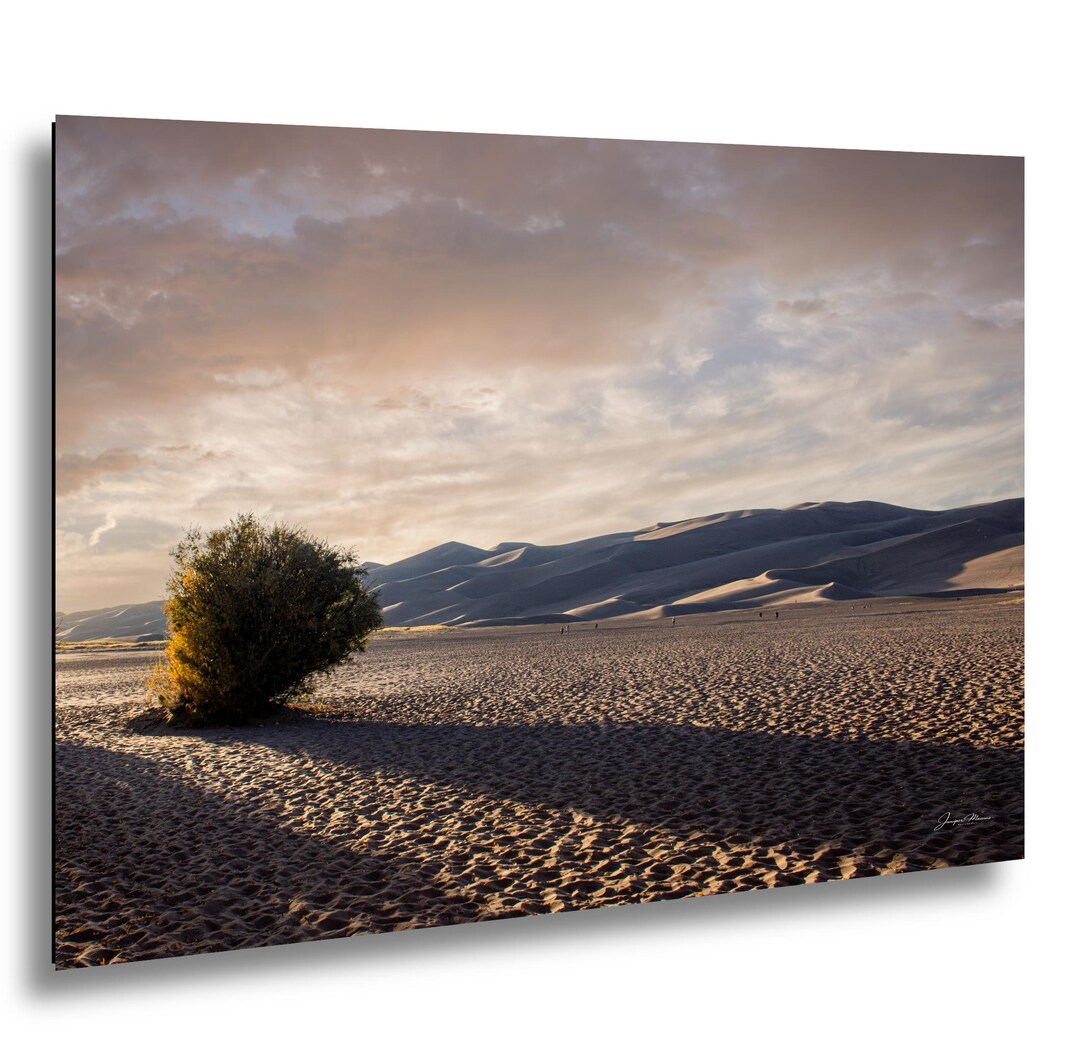 Sand Dunes National Park Colorado Sunset Photo – Dunes, Trees ...