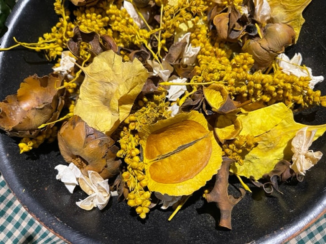 4 Cups Unscented Shades of Yellow Great Addition for Bulk UNSCENTED ...