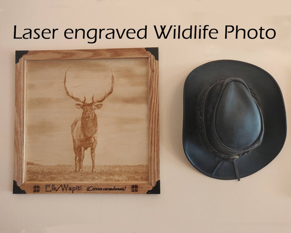 Laser Engraved Elk Photo Wildlife Photo Animal Art - Etsy