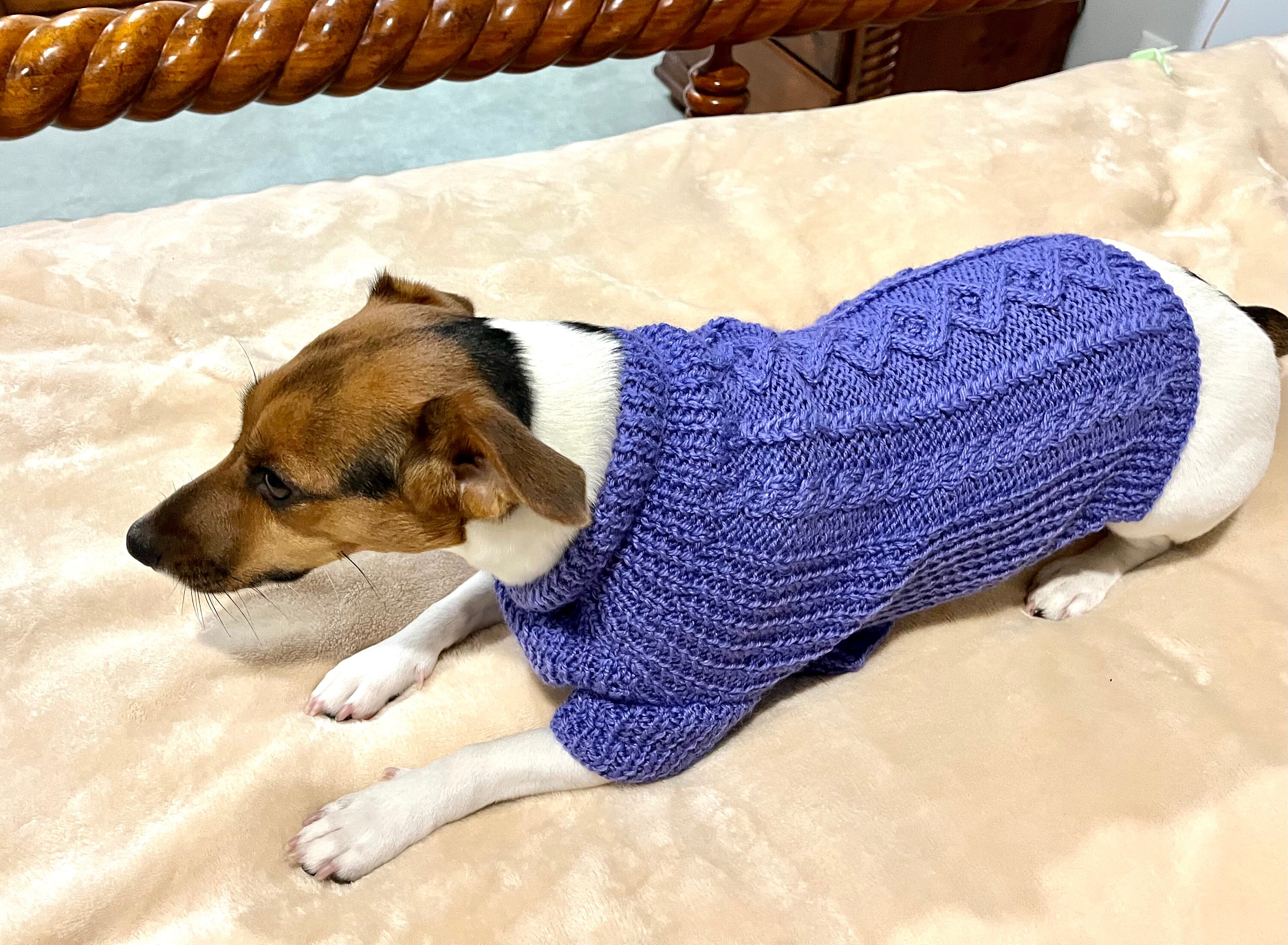Knitted Wool Dog Sweater for Dogs Hand Knit Clothing Dog Warm - Etsy