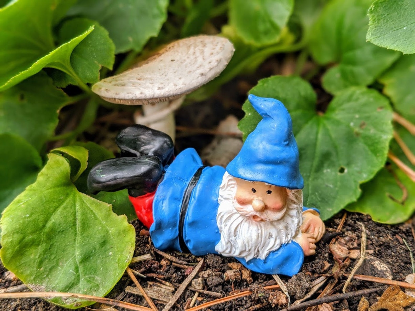 Gnome Figurine Laying Down Resin Gnome for Miniature Gardens - Etsy ...