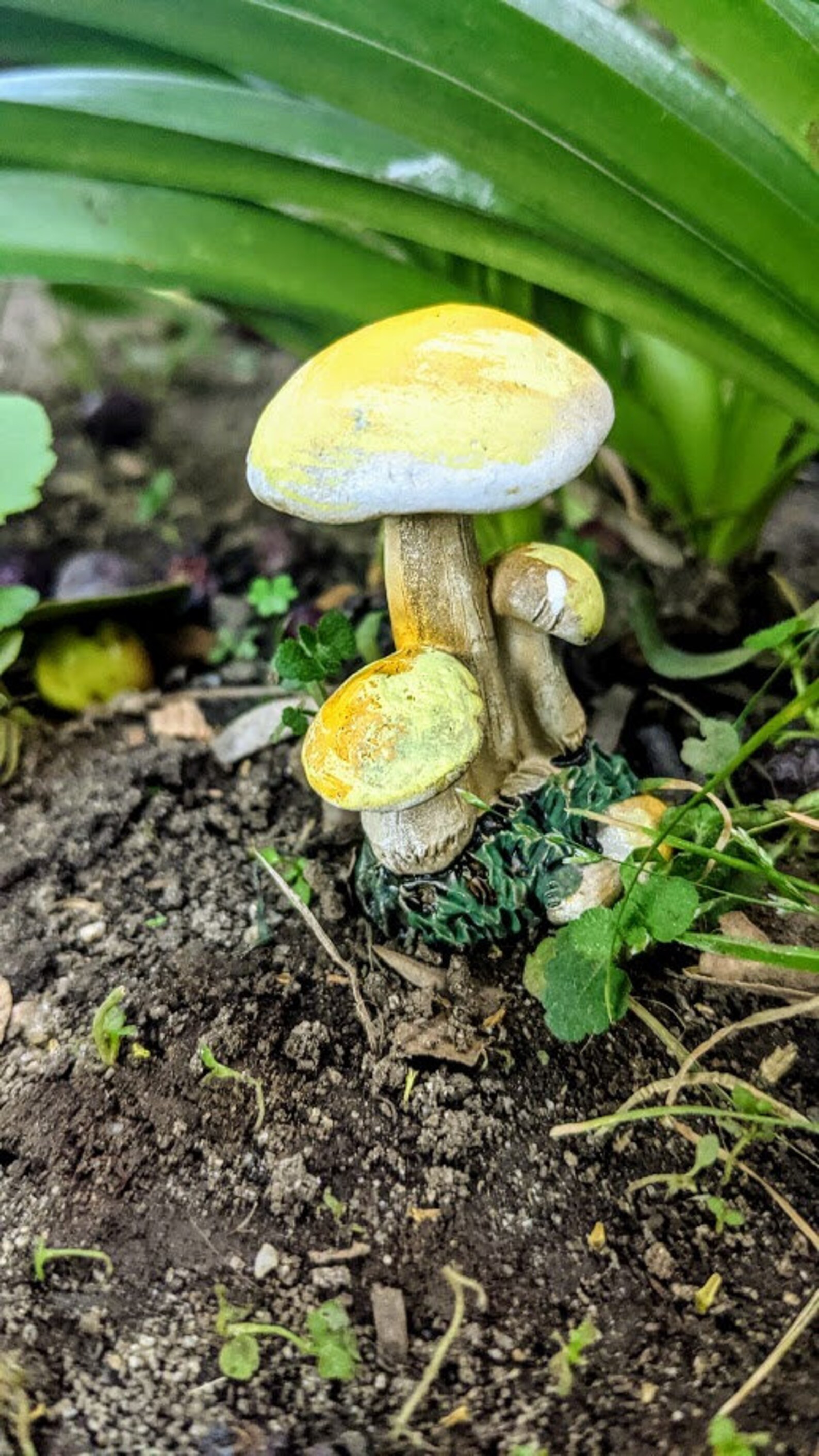 Mushroom Display for Fairy Gardens Mushroom Trio for Outdoor | Etsy