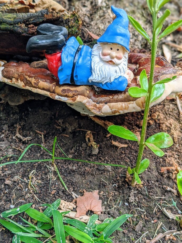 Gnome Figurine Laying Down Resin Gnome for Miniature Gardens | Etsy