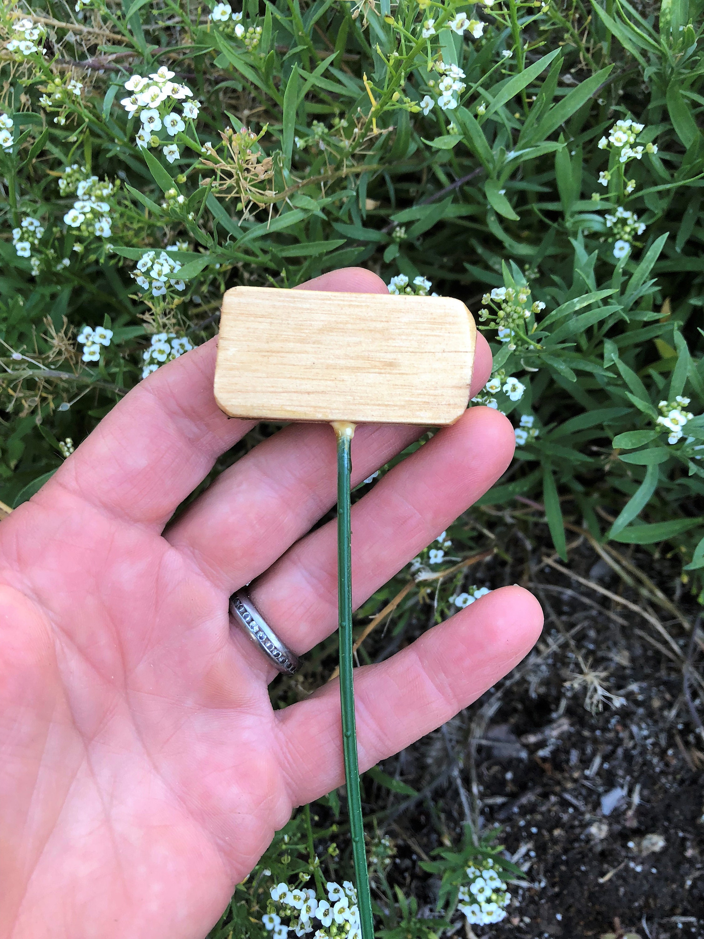 Outside Fairy Garden Sign No Trolls Warning Troll Sign - Etsy