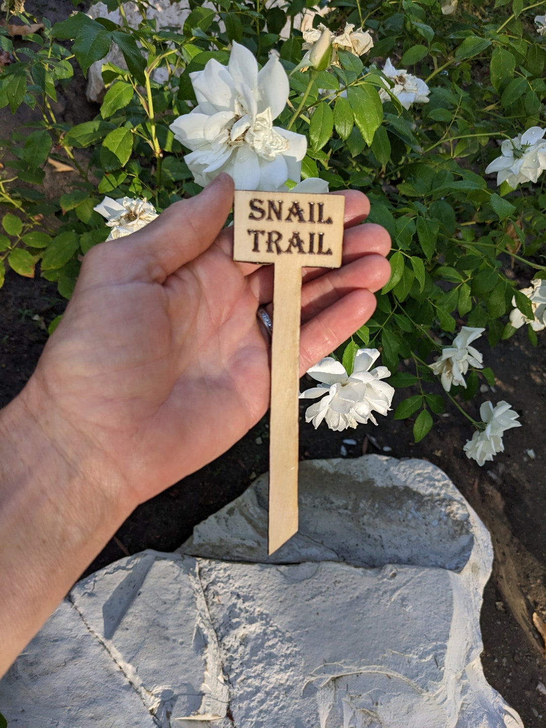 Fairy Garden Miniature Snail Sign With Snail on Back | Snail Trail Mini ...