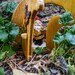 Butterfly Door That Opens and Closes Functional Miniature - Etsy