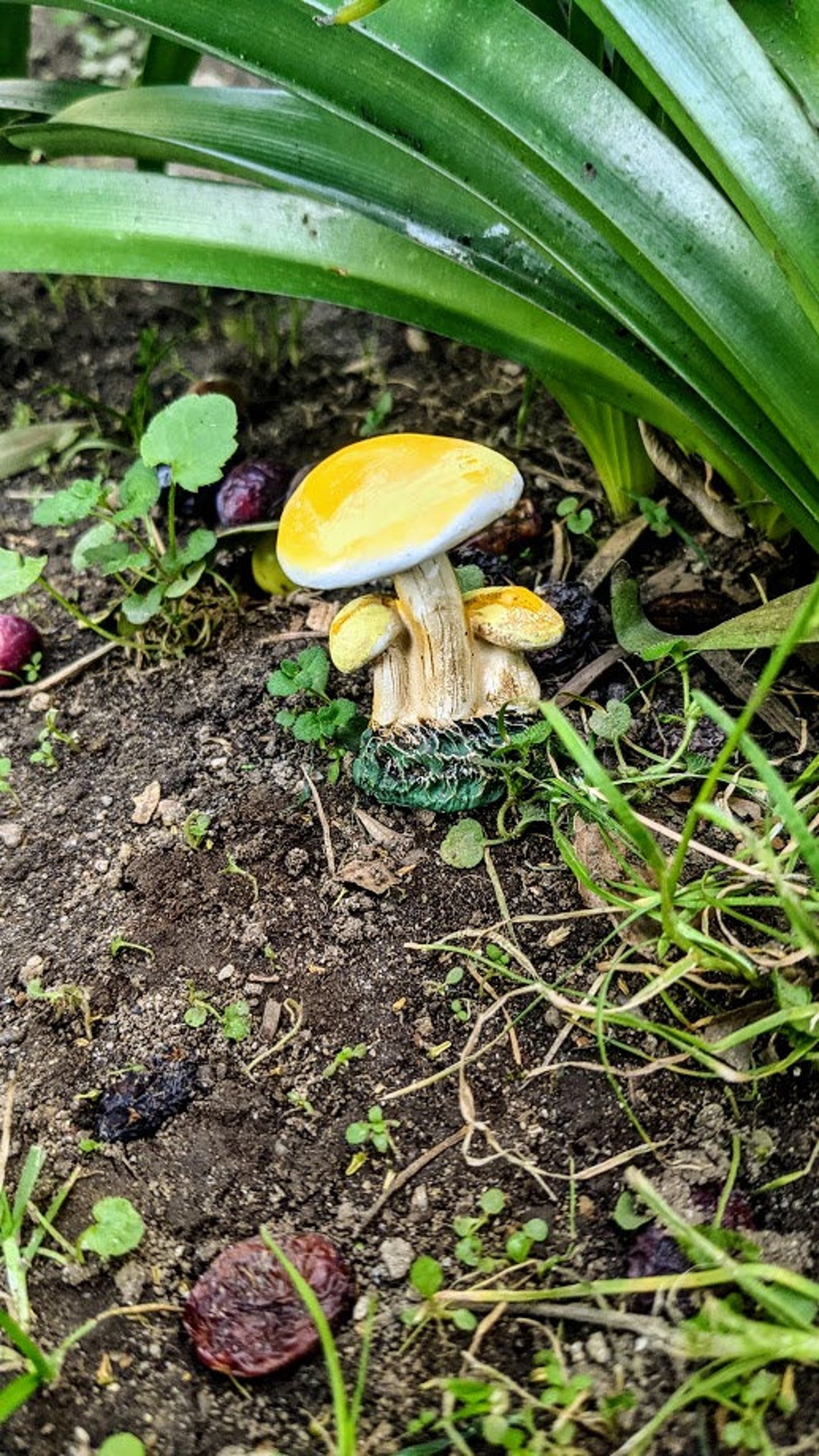 Mushroom Display for Fairy Gardens Mushroom Trio for Outdoor - Etsy
