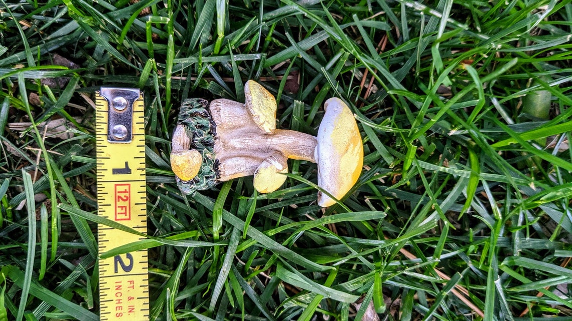 Mushroom Display for Fairy Gardens Mushroom Trio for Outdoor - Etsy