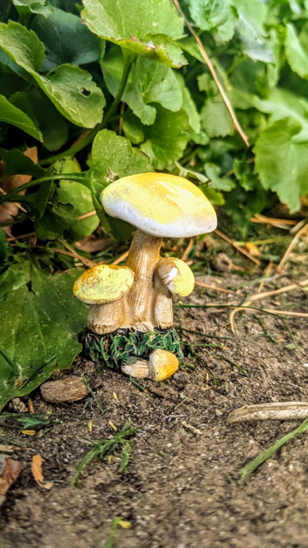 Mushroom Display for Fairy Gardens Mushroom Trio for Outdoor - Etsy