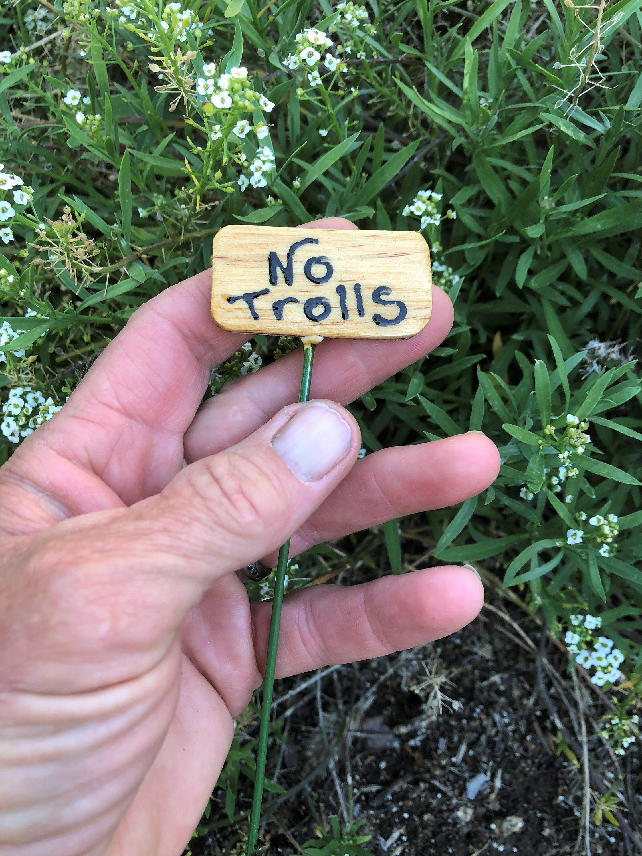Outside Fairy Garden Sign No Trolls Warning Troll Sign - Etsy