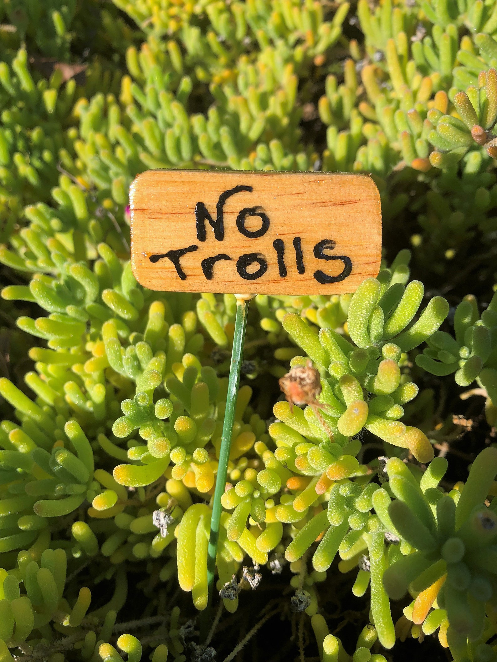 Outside Fairy Garden Sign No Trolls Warning Troll Sign | Etsy