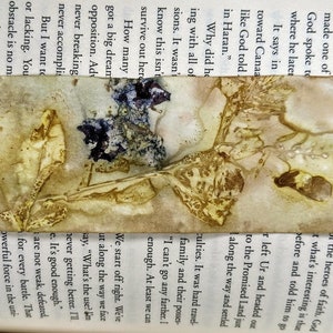 Eco Print Handmade Paper Bookmark Laminated | Botanical Handcrafted ...
