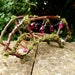 Pink Fairy Bridge Fairy Garden, Fairy House, Fairy Accessories ...