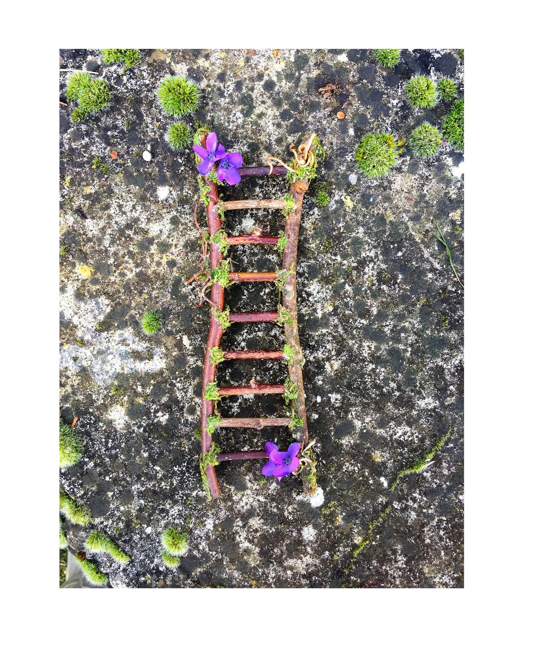 Flower Fairy Ladder Bonsai Fairy Garden Fairy House - Etsy