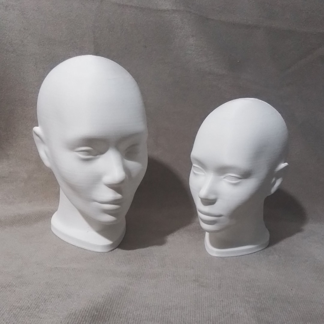 25cm Realistic Planar Head 3D Print Female Head Beautiful Ornament ...