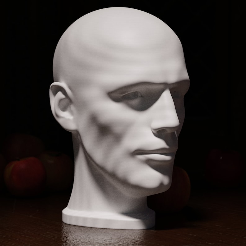 Now 25cm Real Size Ascending Artist's Realistic Male Head Reference 3D ...